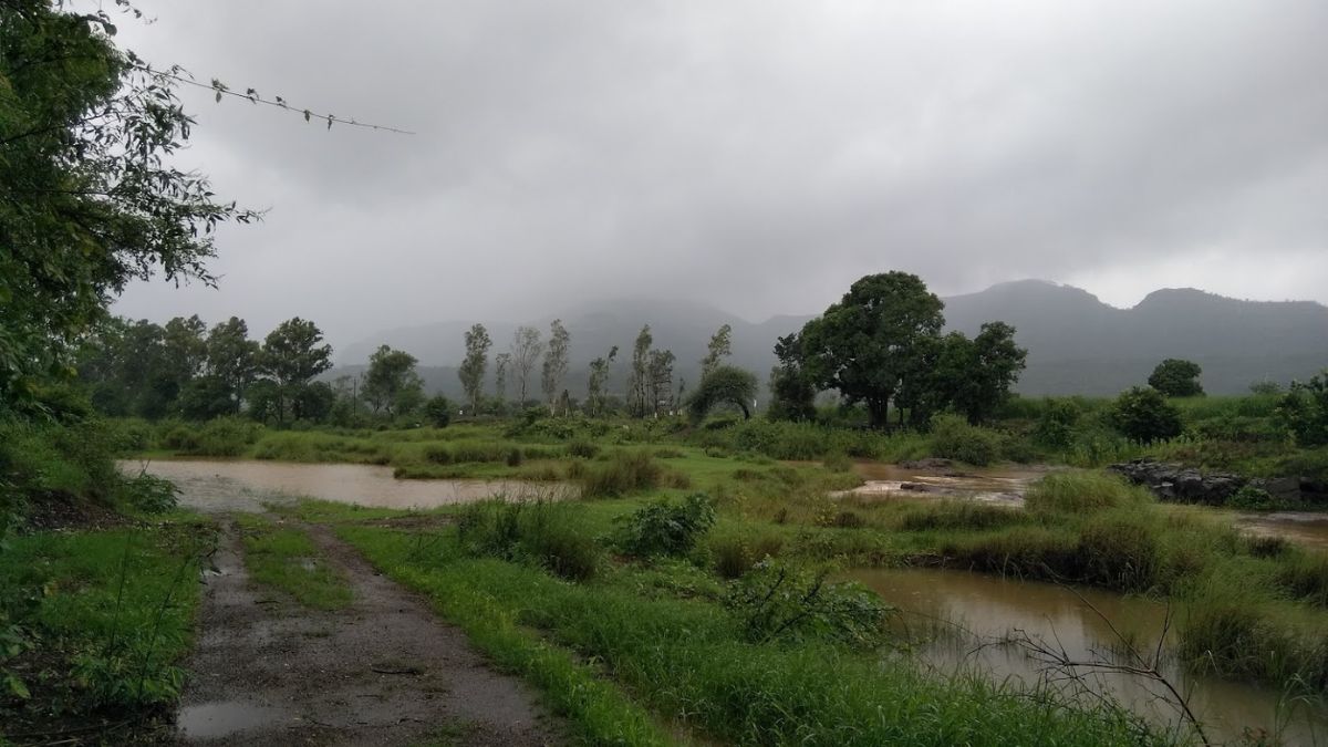 Pune: Forest Department Bans Monsoon Tourism in Tamhini Ghat Sanctuary ...